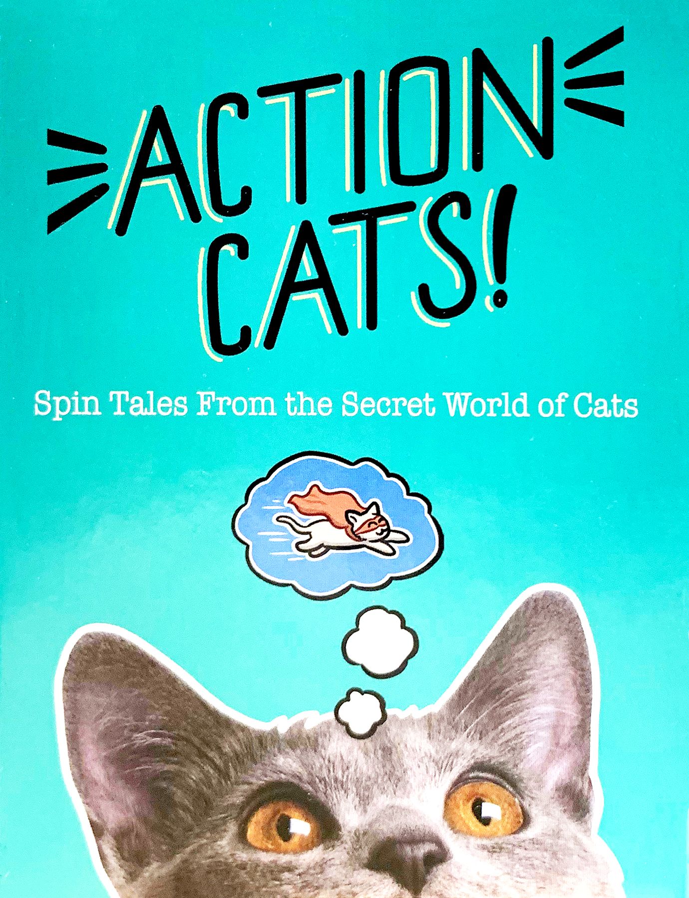 Action Cats! | Compare Prices NZ | Board Game Oracle